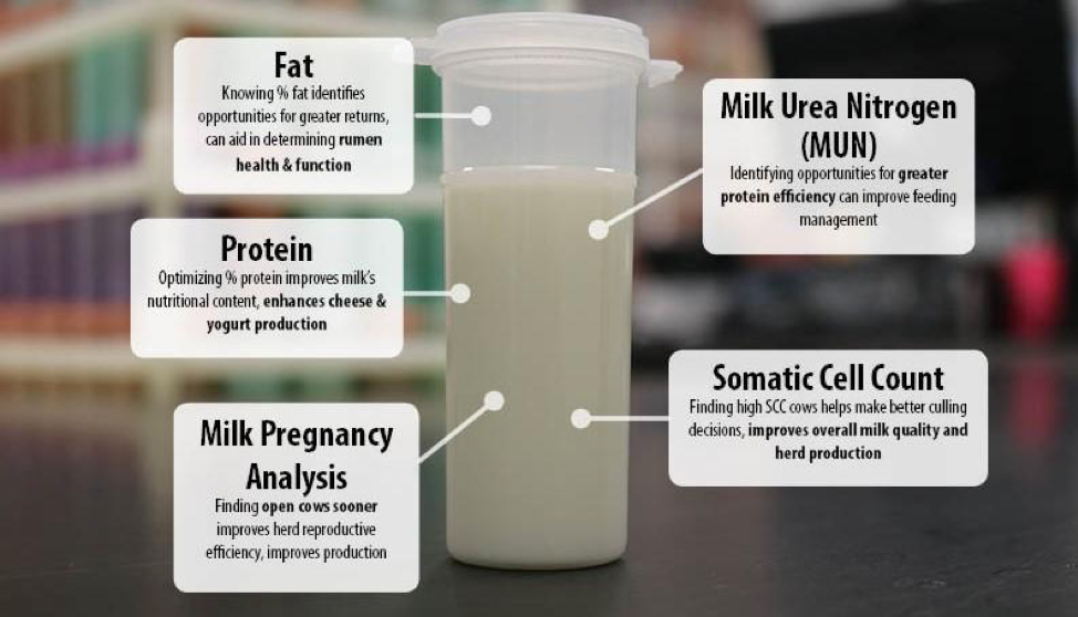 Milk Testing Services | Dairy One